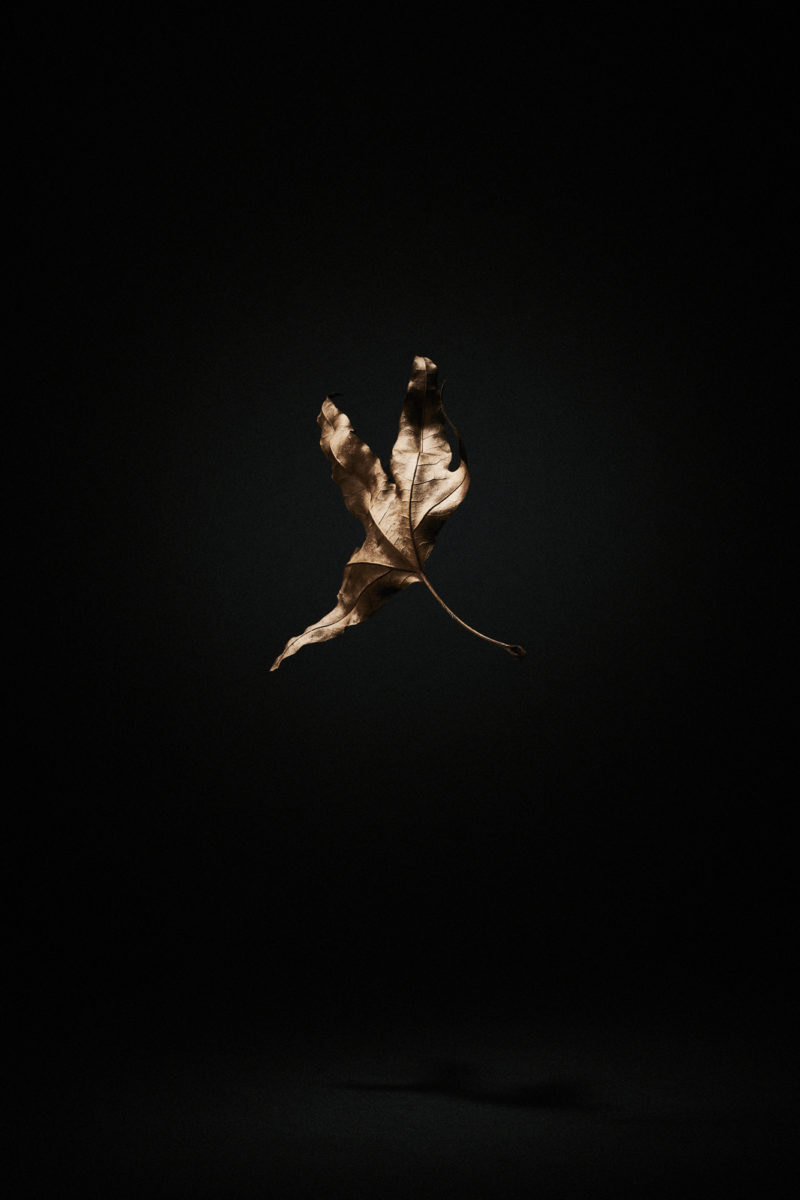 Suspension | Photographer