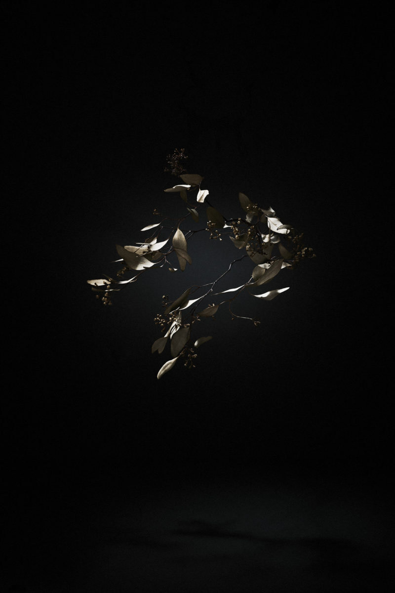 Suspension | Photographer